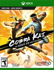 Cobra Kai: The Karate Kid Saga Continues - Xbox One – Filthy Games Room